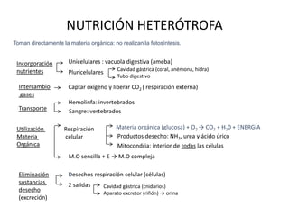 Presentación tema 8 funciones vitales | PDF