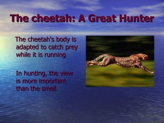 PresentacióN The Cheetah | PPT