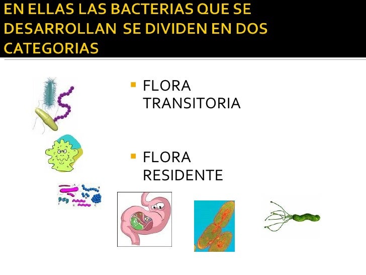 PresentacióN Trabajo De Grado
