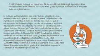 Tioésteres | PDF