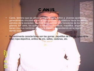 Presentación tribus urbanas | PPT