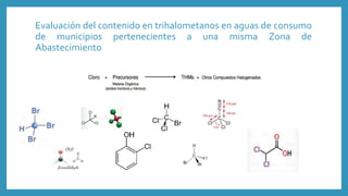 Presentación_trihalometanos.pptx