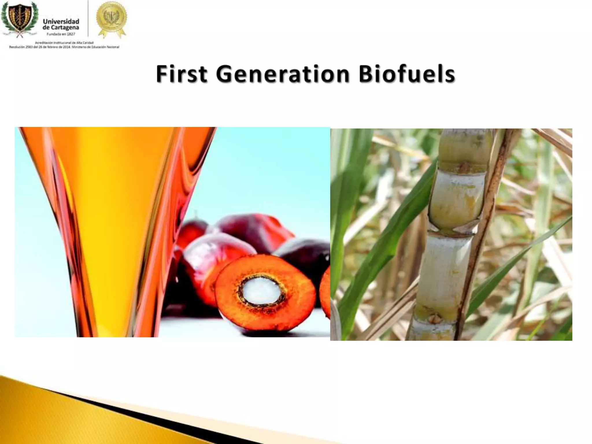 Process Optimization Applied to Biofuels production and Development of Biorefineries | PPTX