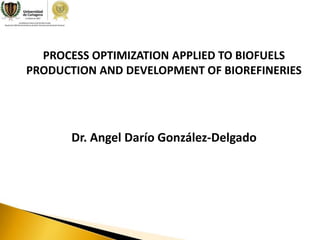 Process Optimization Applied to Biofuels production and Development of ...
