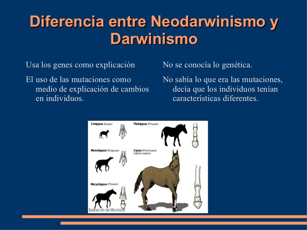 Neodarwinismo