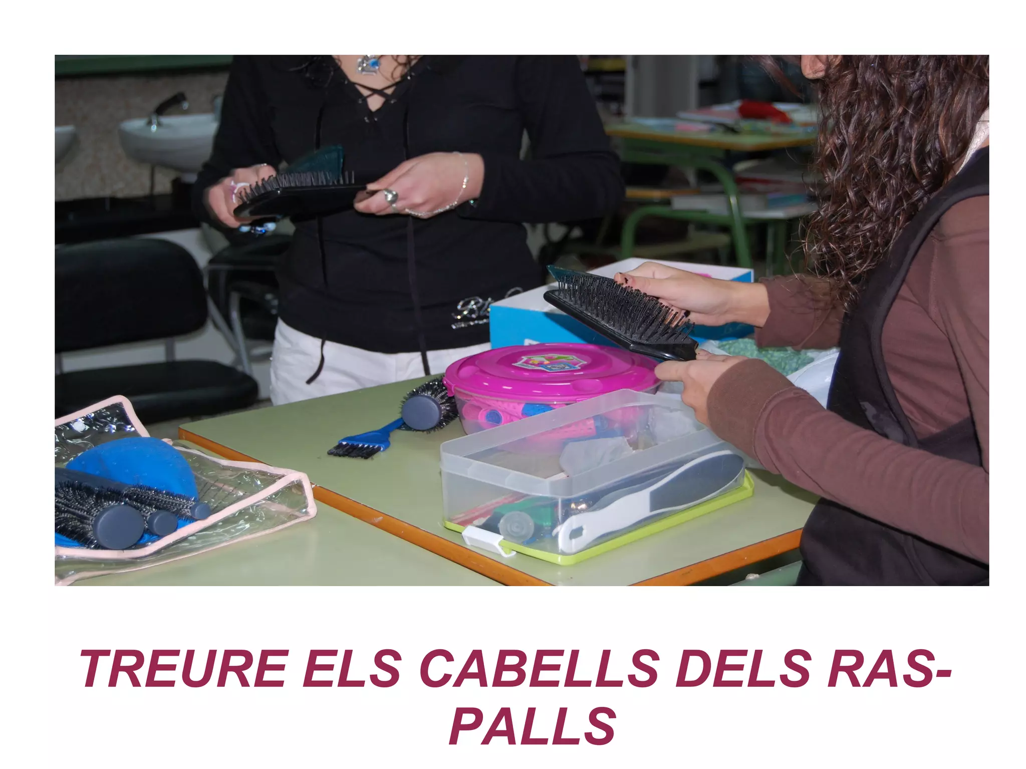 Presentacio Mini | ODP