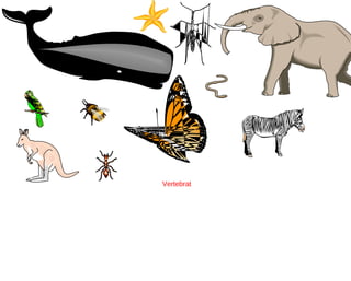 Presentacio animals vertebrats blog | PPT