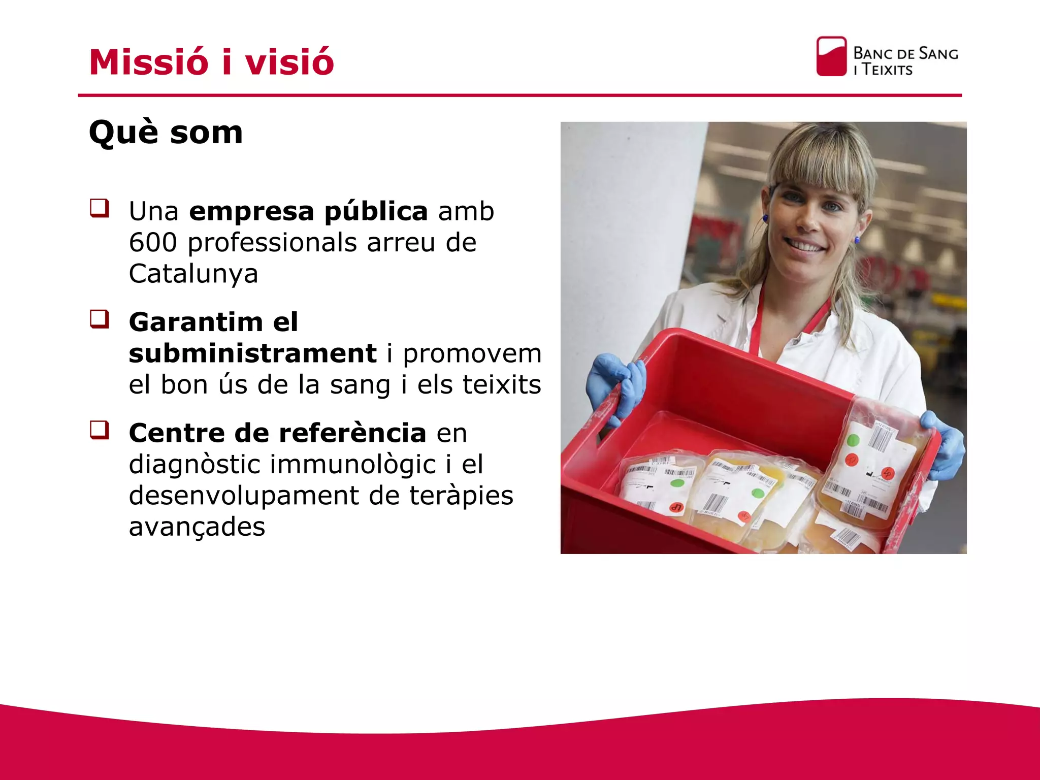 Presentacio corporativa del BST | PPT