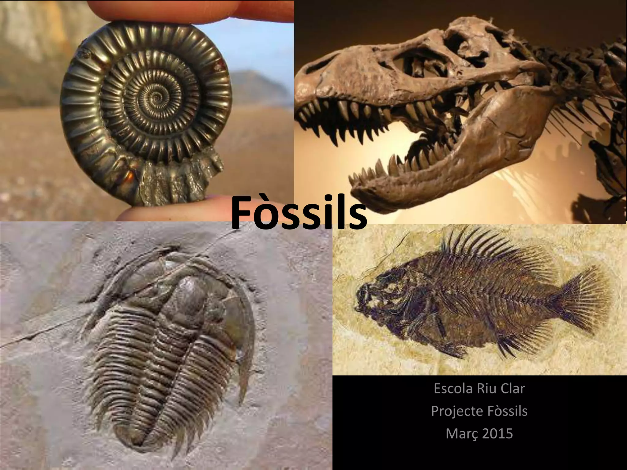 Presentacio fossils | PPTX