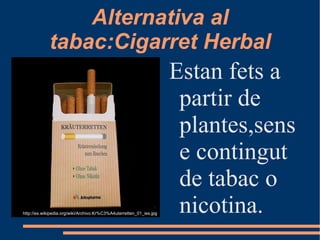 El Tabaco | ODP