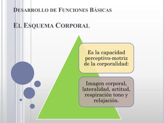 Esquema Corporal | PDF