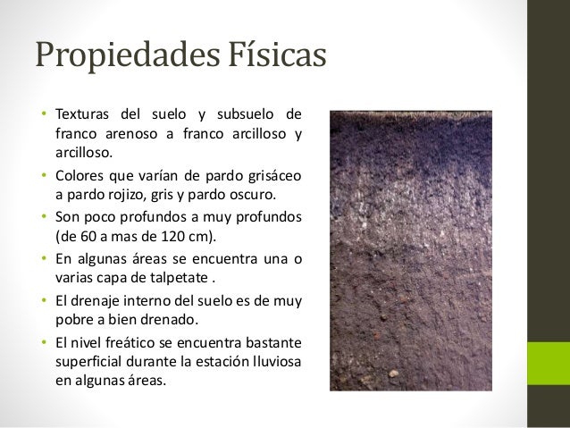 Suelos del Orden Molisol