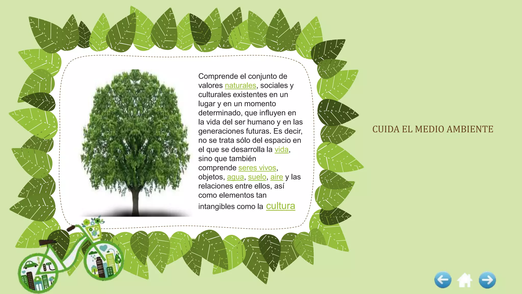 MEDIO AMBIENTE | PPTX