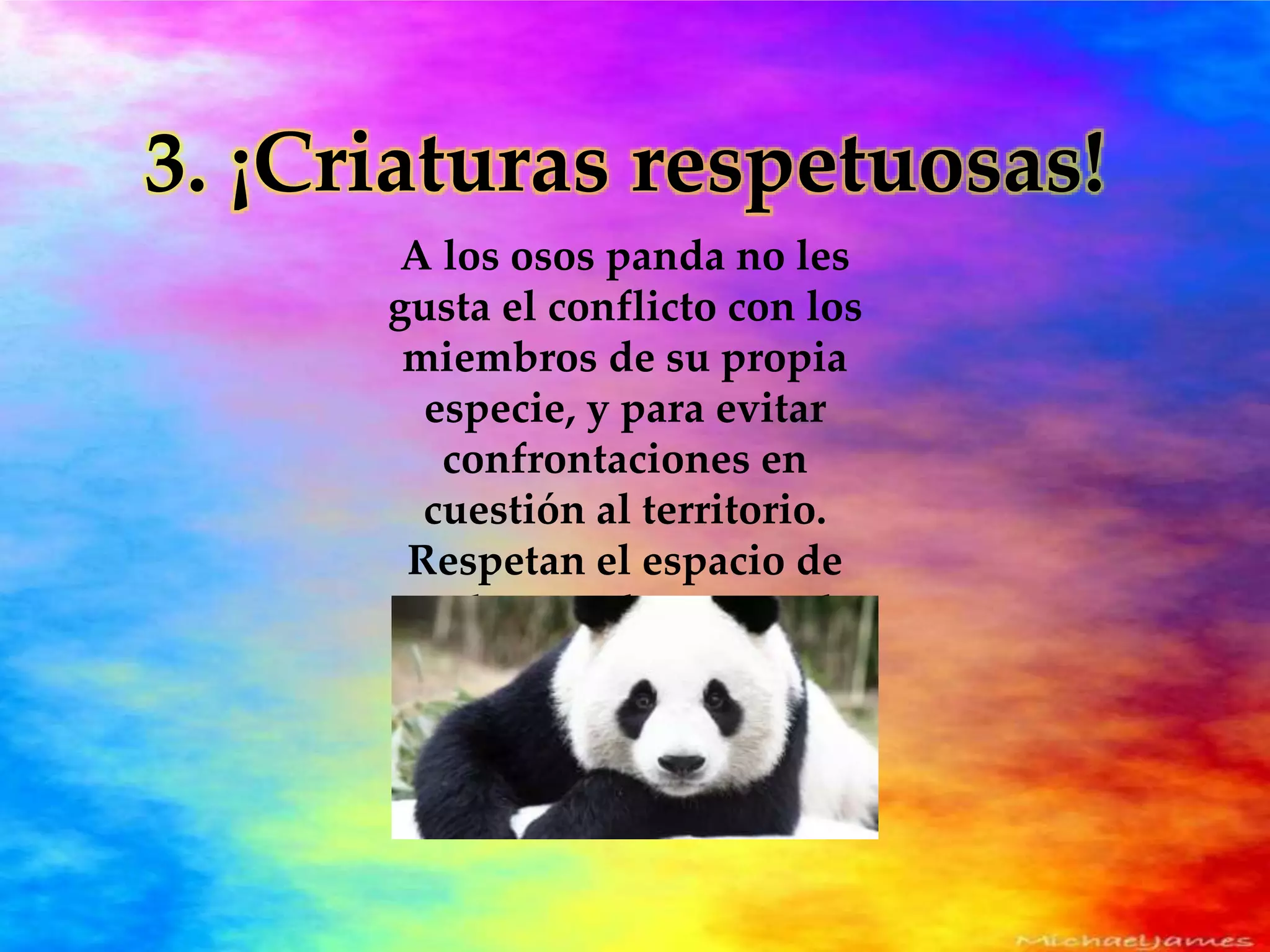 5 datos curiosos de los osos panda | PPTX | World Cuisines | Food & Drink