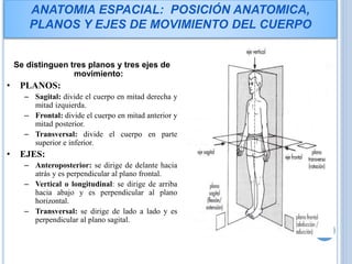 presentacion-anatomia.pptx