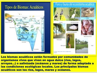 BIOMAS | PPTX