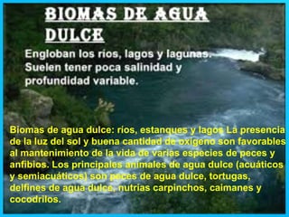 BIOMAS | PPTX
