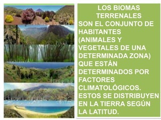 BIOMAS | PPTX