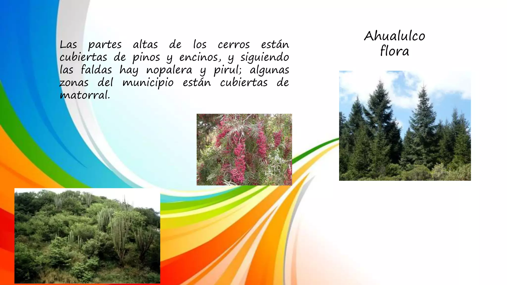 Presentacion de-flora-y-fauna-de-la-region-altiplano | PPTX | Reptiles ...