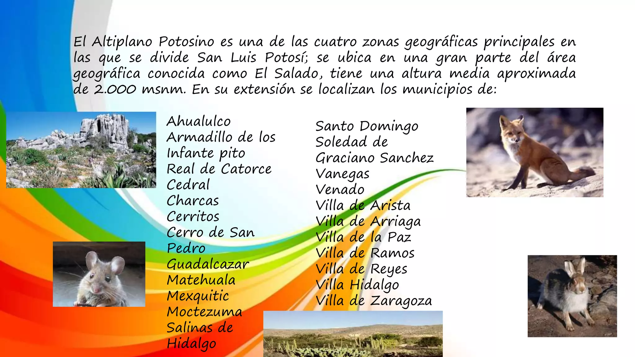 Presentacion de-flora-y-fauna-de-la-region-altiplano | PPTX | Reptiles ...