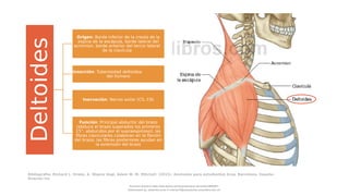 presentacion sobre la biomecanica de-hombro | PDF