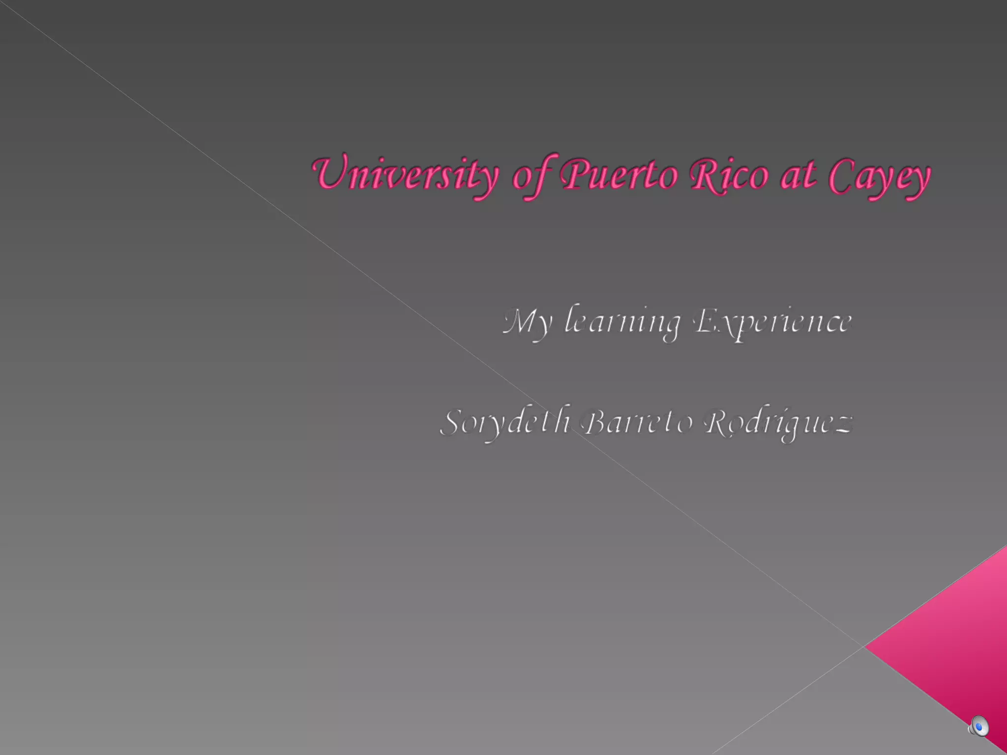 My Learning Experience | PPT