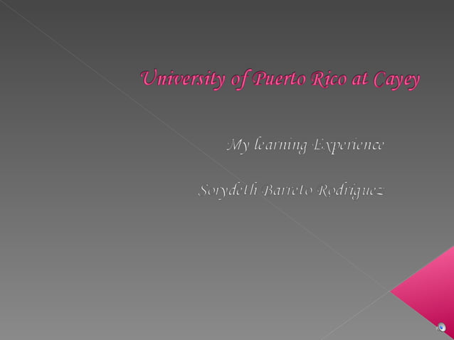 My Learning Experience | PPT