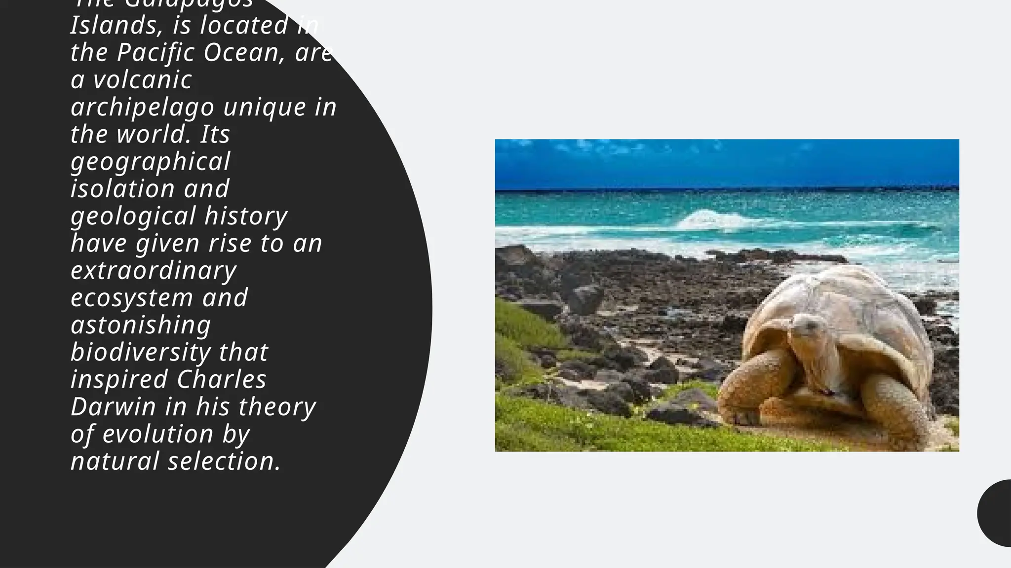 presentation about the galapagos islands | PPTX