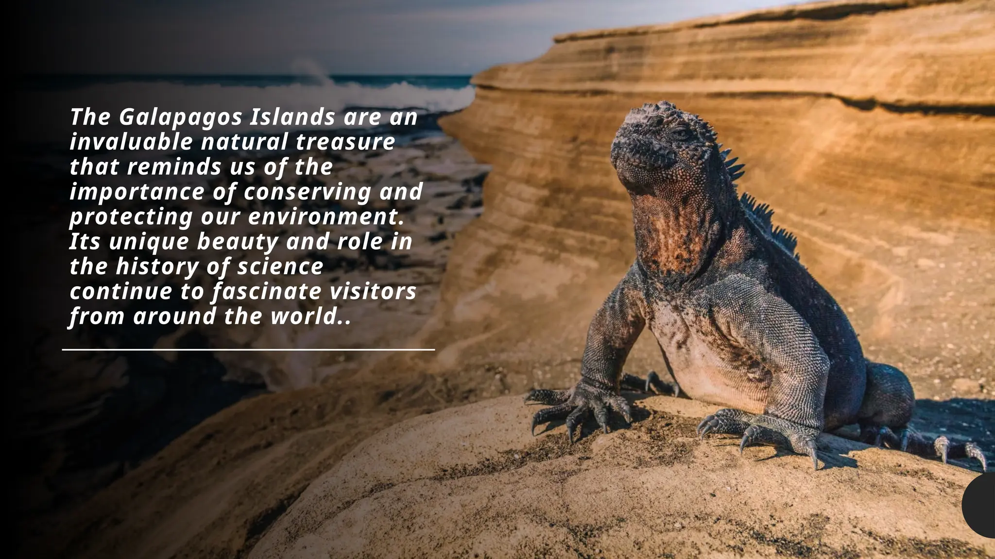 presentation about the galapagos islands | PPTX