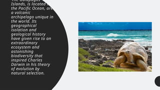 presentation about the galapagos islands | PPTX