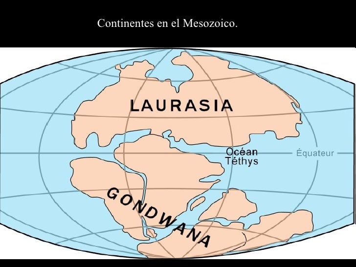 Mesozoico Significado