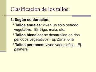 Raíz y Tallo (Facultad UNCuyo) | PPT
