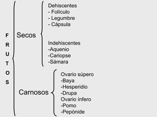 Presentación: El Fruto (Facultad UNCuyo) | PPT