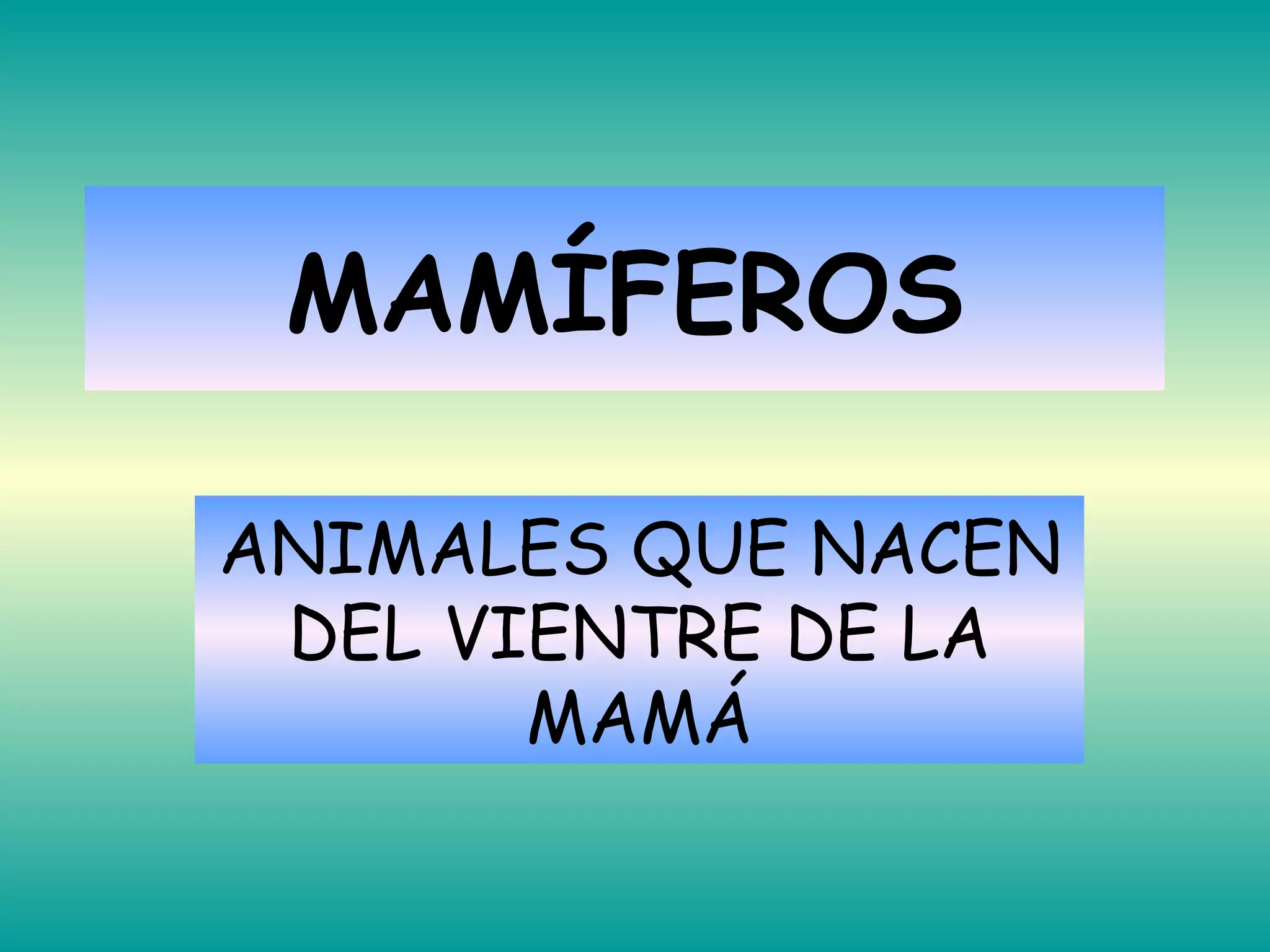 Los mamíferos | PPT