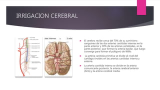 Neuroanatomia y fisiologia en el paciente neurologico | PPTX