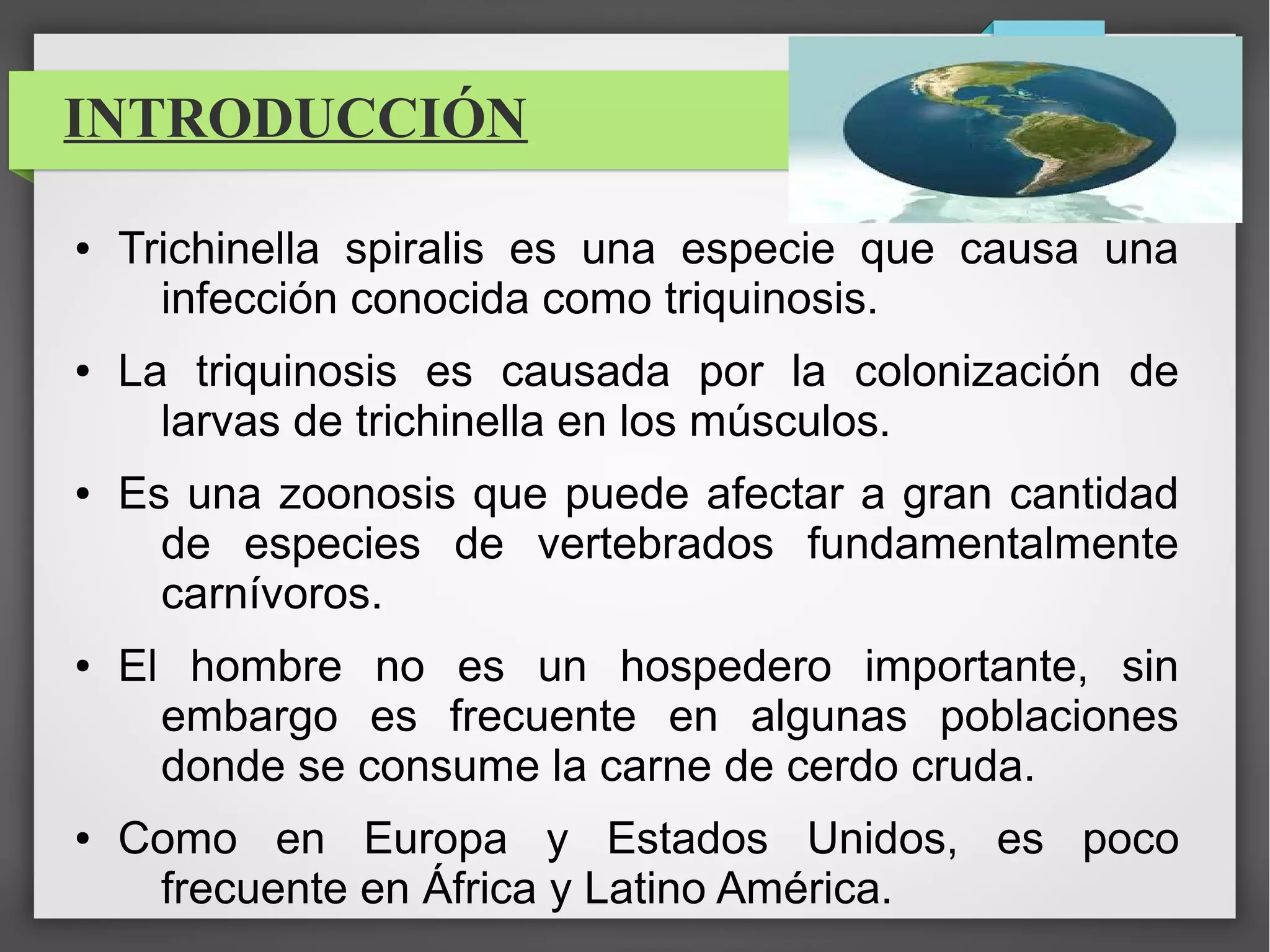 Trichinella spiralis | PPT