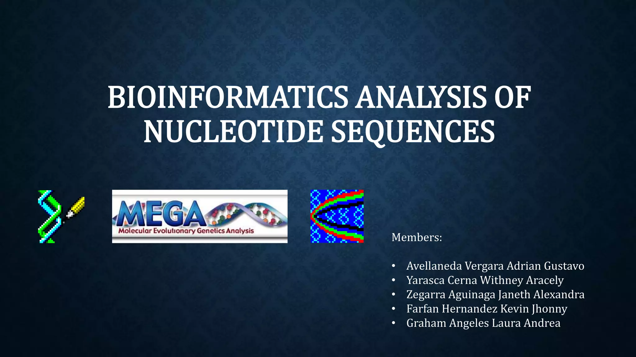 Bioinformatics Analysis of Nucleotide Sequences | PPTX