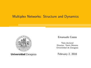Multiplex Networks: structure and dynamics | PPT