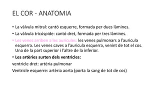 Presentación2 acabao | PPTX