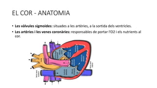 Presentación2 acabao | PPTX