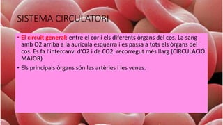 Presentación2 acabao | PPTX