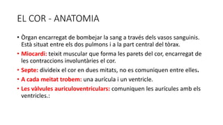 Presentación2 acabao | PPTX