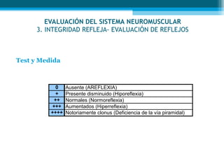 Presentacion 3- EVALUACION DEL SIST NEUROMUSCULAR TEST Y MEDIDAS.ppt