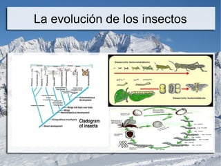 Evolución de las especies | ODP