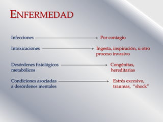 Factores de Transferencia - Dr Bóssolo | PPT