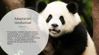 Adaptacion animales Morfológico, fisiológico y conductual | PPTX
