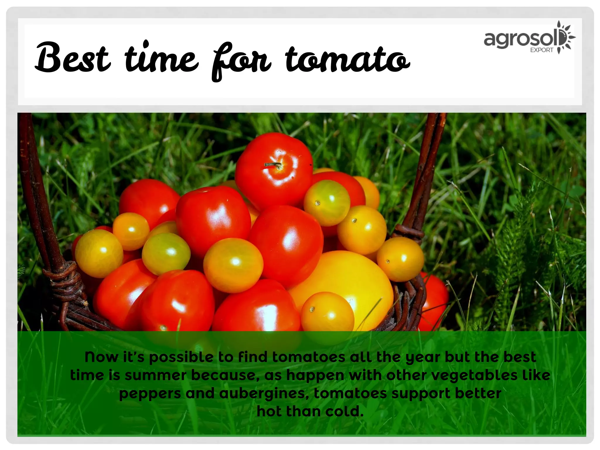 Agrosol Products: Tomato | PPT