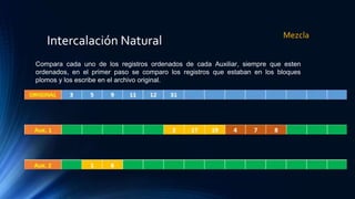 Presentacion algoritmos ordenacion externa | PPTX