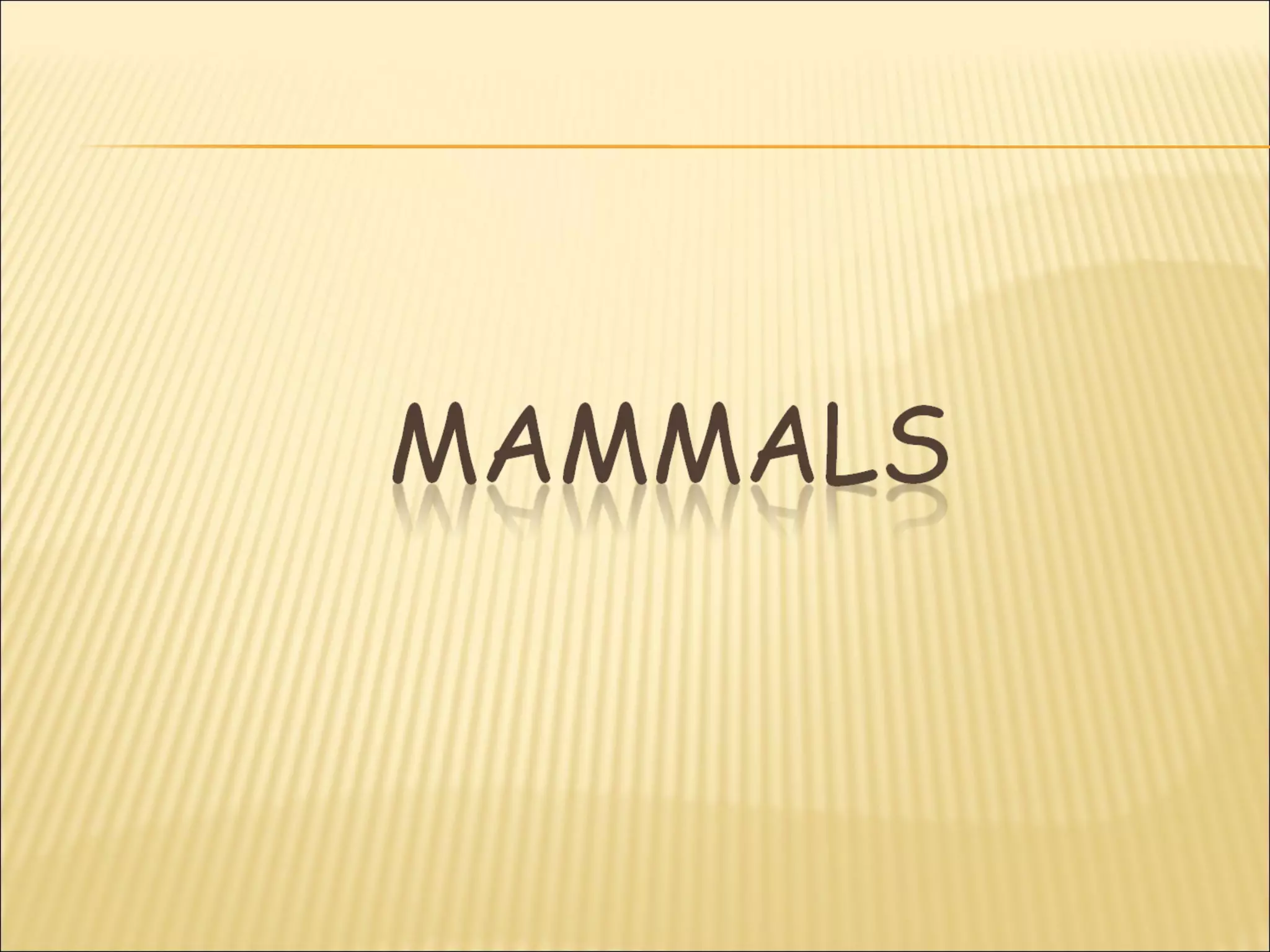 Animals groups | PPT