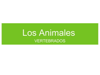 Presentación animales vertebrados primer ciclo primaria | PPT